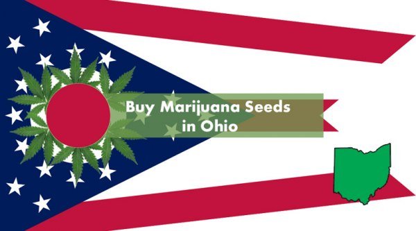 Where You Can Buy Marijuana Seeds in Ohio