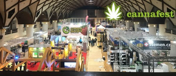 What You Can Expect from the Best Cannabis Festivals