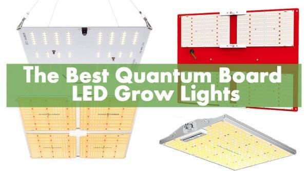 The Best Quantum Board LED Grow Lights 2026 - Buyer's Guide