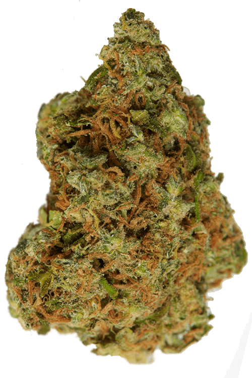 White Widow Seeds