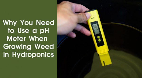 The TOP reasons you need a pH meter when growing marijuana