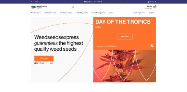 WeedSeedsExpress Review 2026 | The Pros & Cons